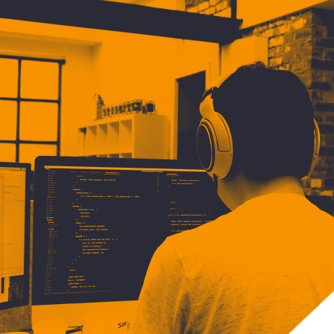 Secure Code Warrior for Technology Companies